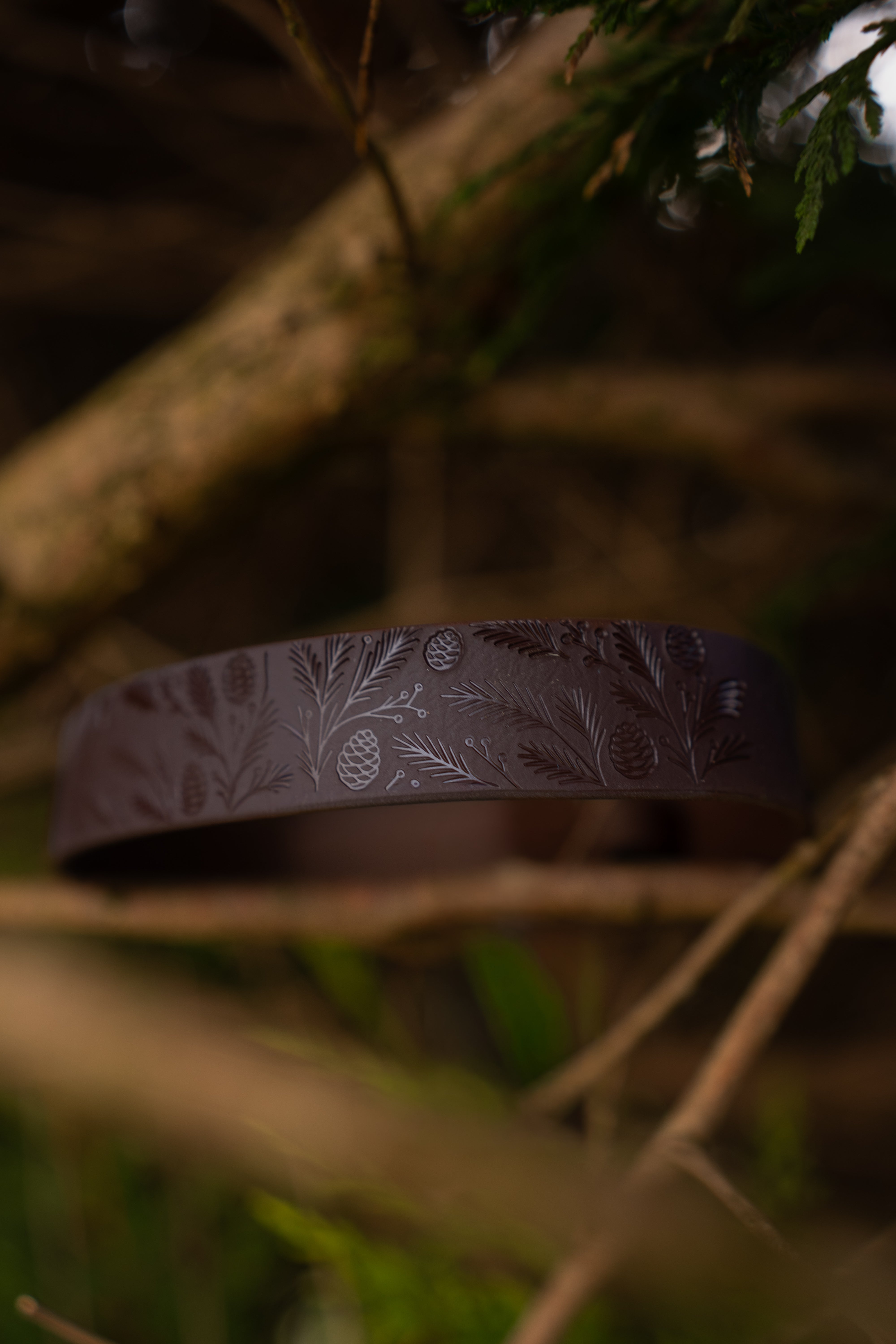 Pine Foliage – The Wild Wanderer Co