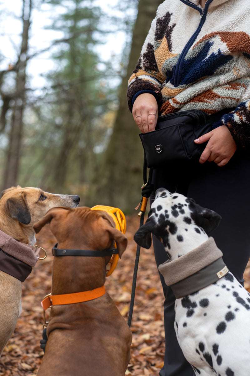 The Wanderers Bag – The Wild Wanderer Co